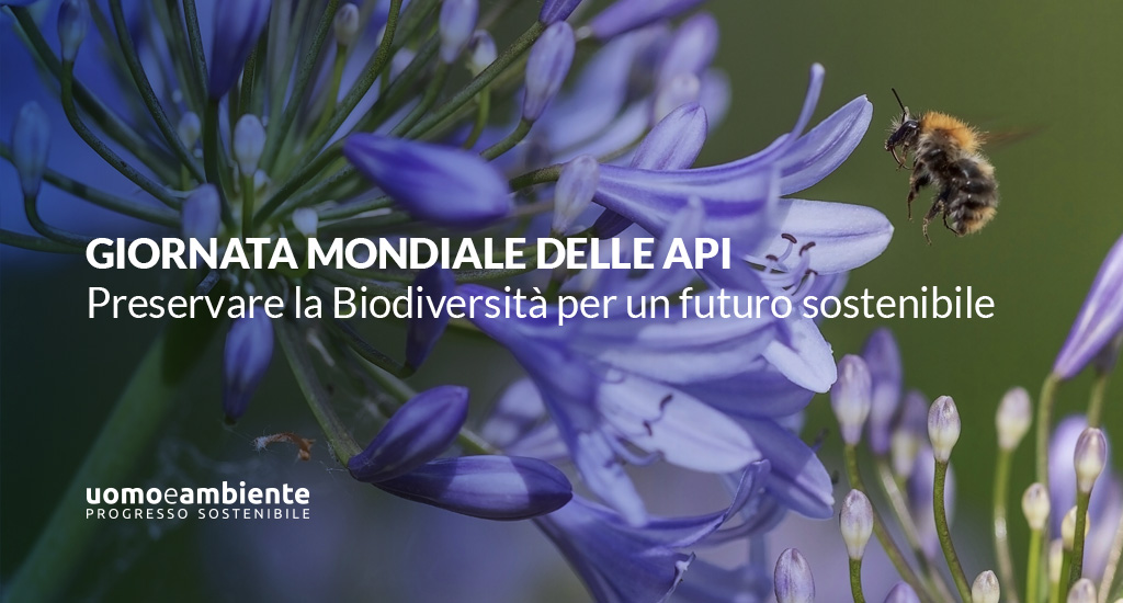 Giornata Mondiale delle Api: preservare la Biodiversità per un futuro ...